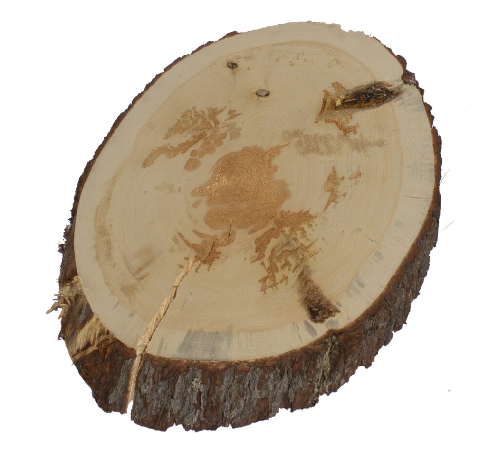 Live Edge Oval Slab - TimberTown Building Centre